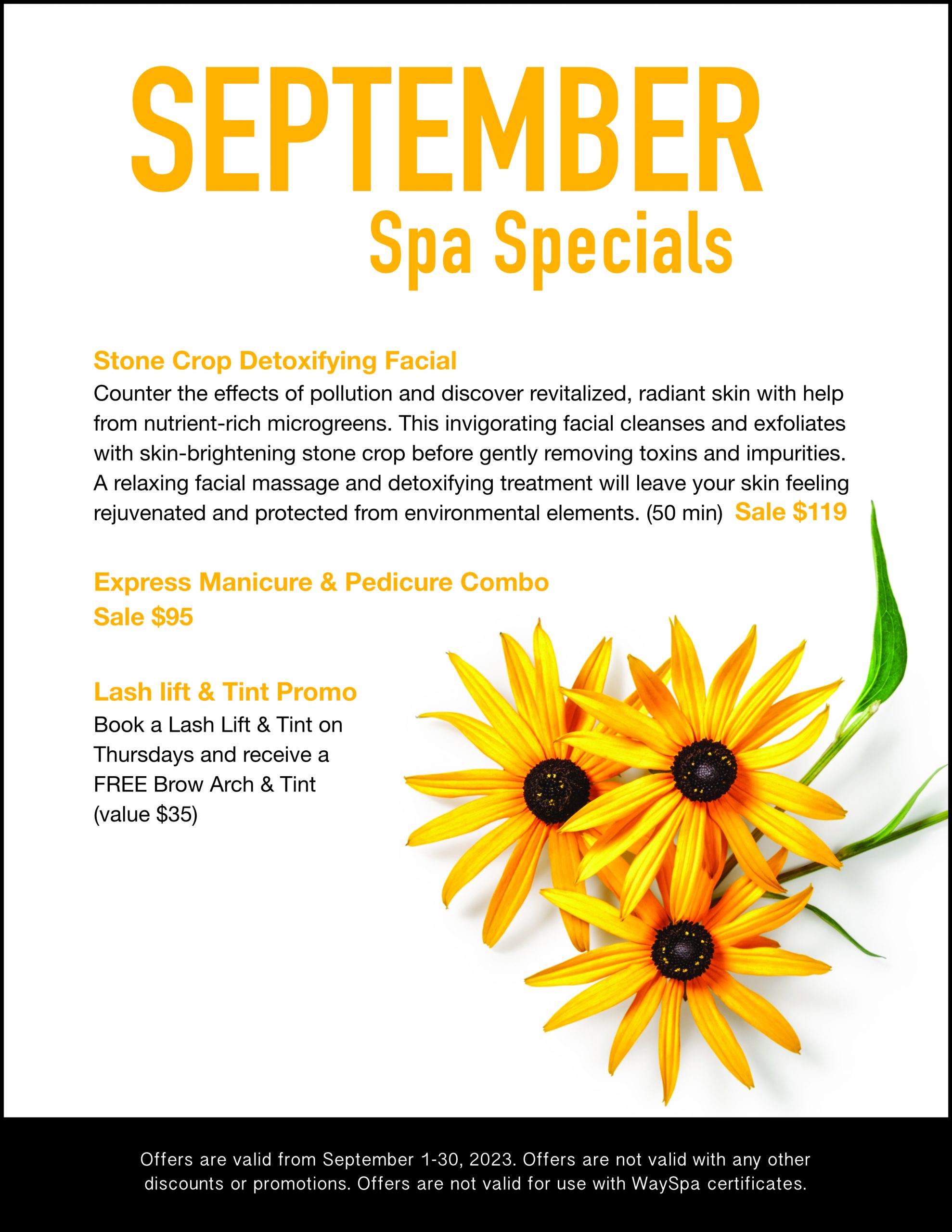 Surrey Delta Spa - Skin Concepts Day Spa